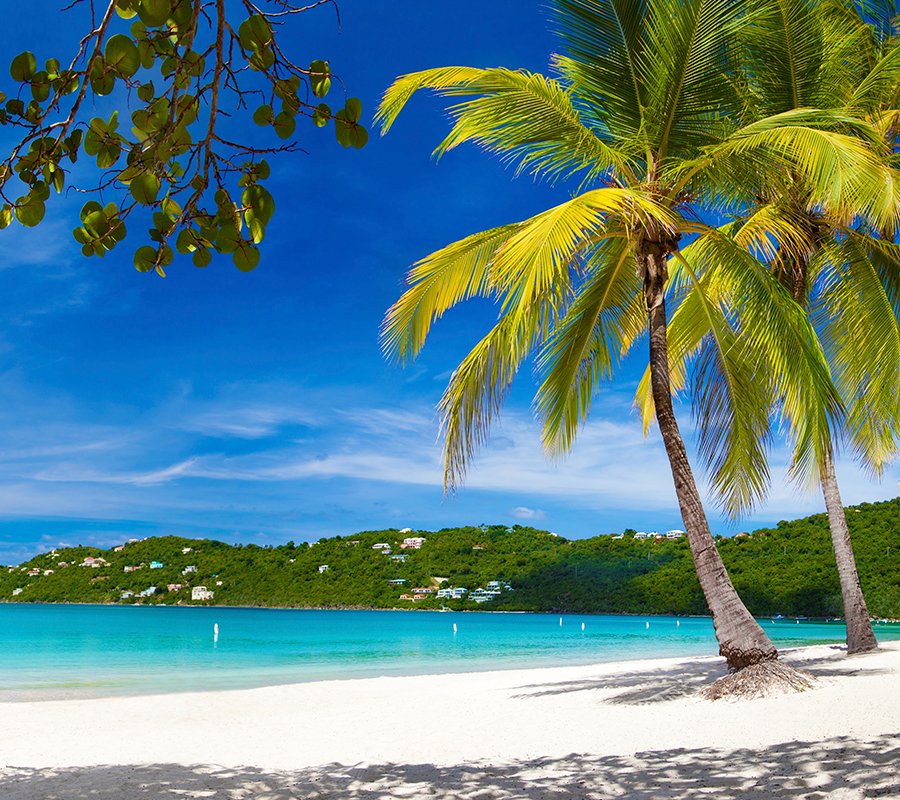 MSC World America - El nuevo crucero | MSC Cruceros